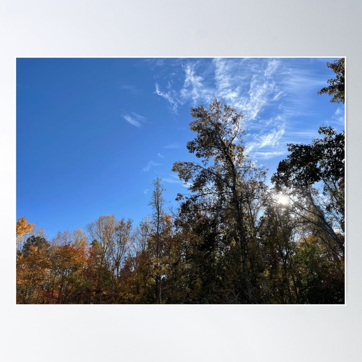 Windswept Miracle (Color) Poster Wall Art, Modern Wall Decor For Living ...