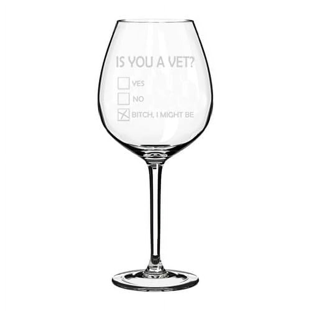 Wine Glass Goblet Gift Is You A Vet Funny Veterinarian (20 oz Jumbo ...