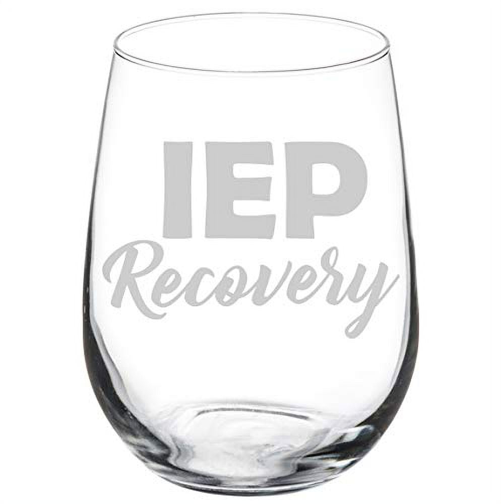 Wine Glass Goblet Special Education Teacher IEP Recovery (17 oz ...