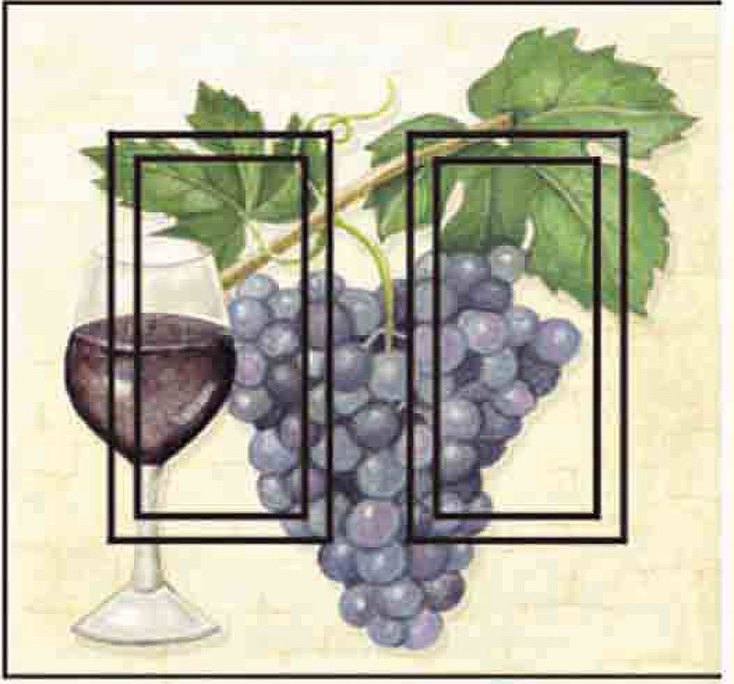 Wine Grape Double Rocker SwitchStix Peel and Stick Art Deco Switch ...