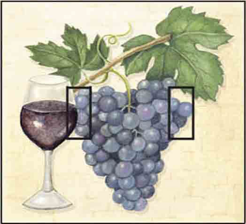 Wine Grape Double Toggle SwitchStix Peel and Stick Art Deco Switch ...