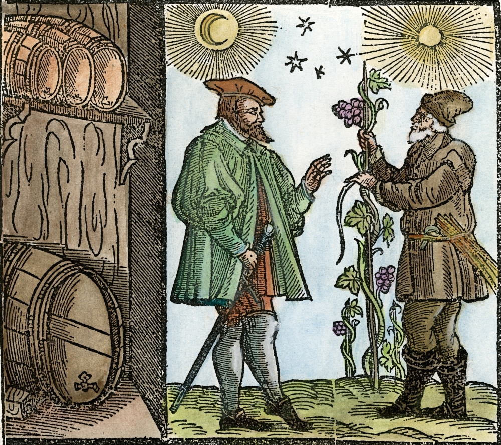 Wine Merchant 1582. Nwine Merchant And Peasant Tending Vines. Woodcut ...