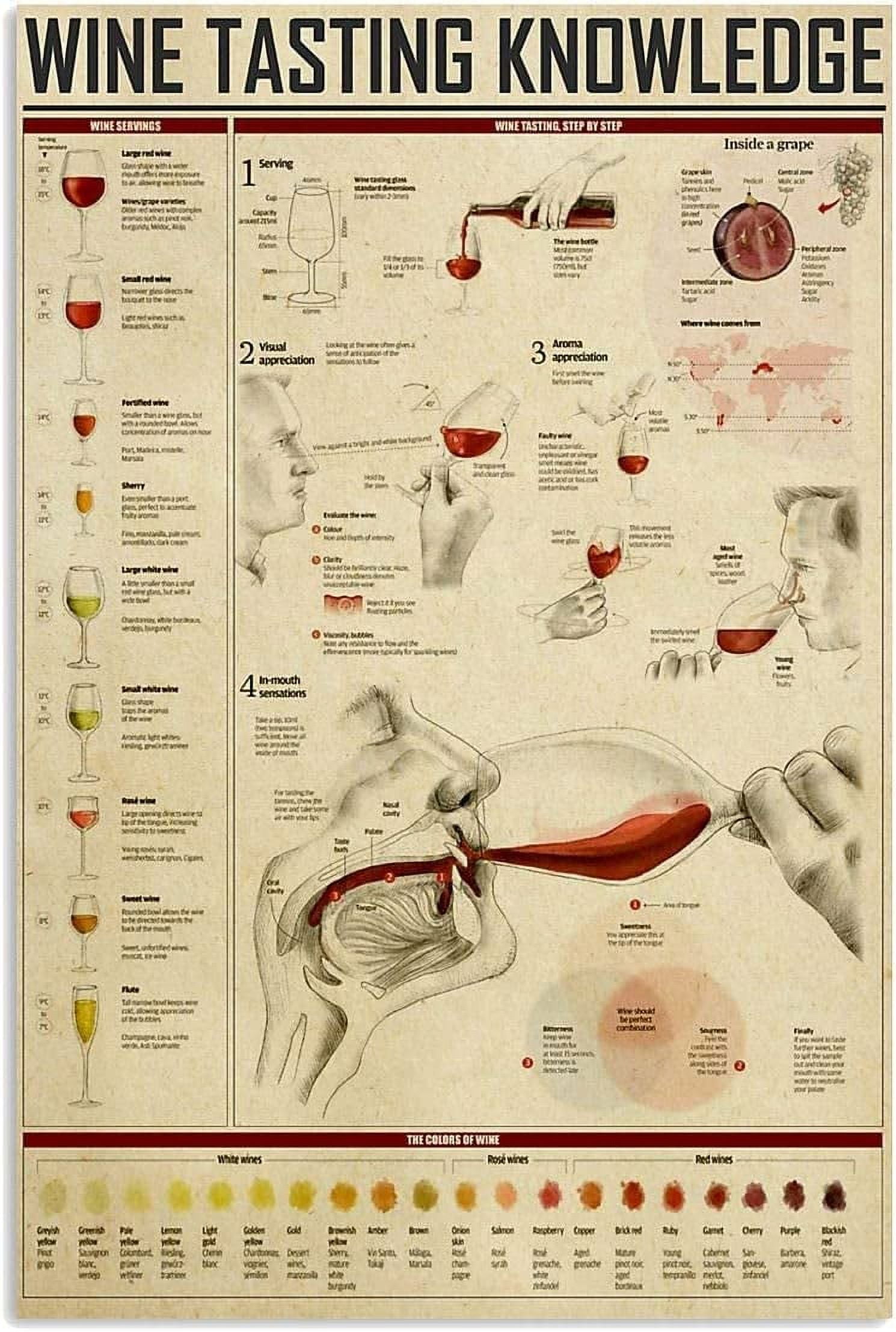 Wine Tasting Knowledge Metal Signs Retro Wine Tasting Infographics Wine ...