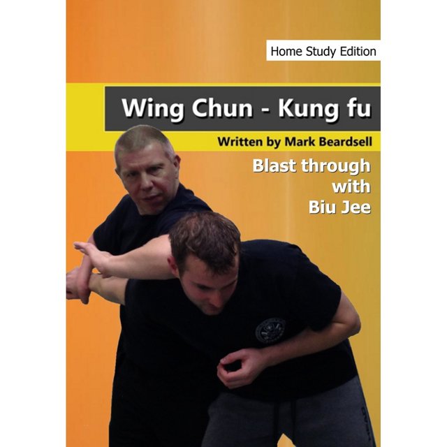 Wing Chun - The Brutality of Biu Jee - HSE (Paperback) - Walmart.com