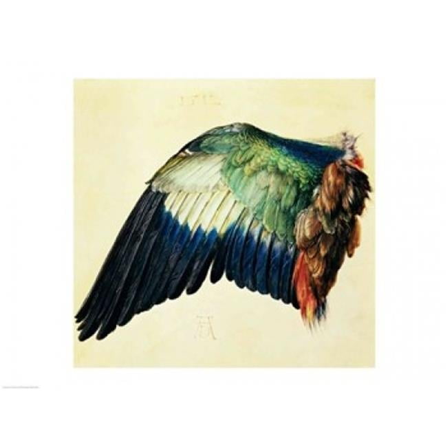 Wing of A Blue Roller 1512 Poster Print by Albrecht Durer - 24 x 18 in ...
