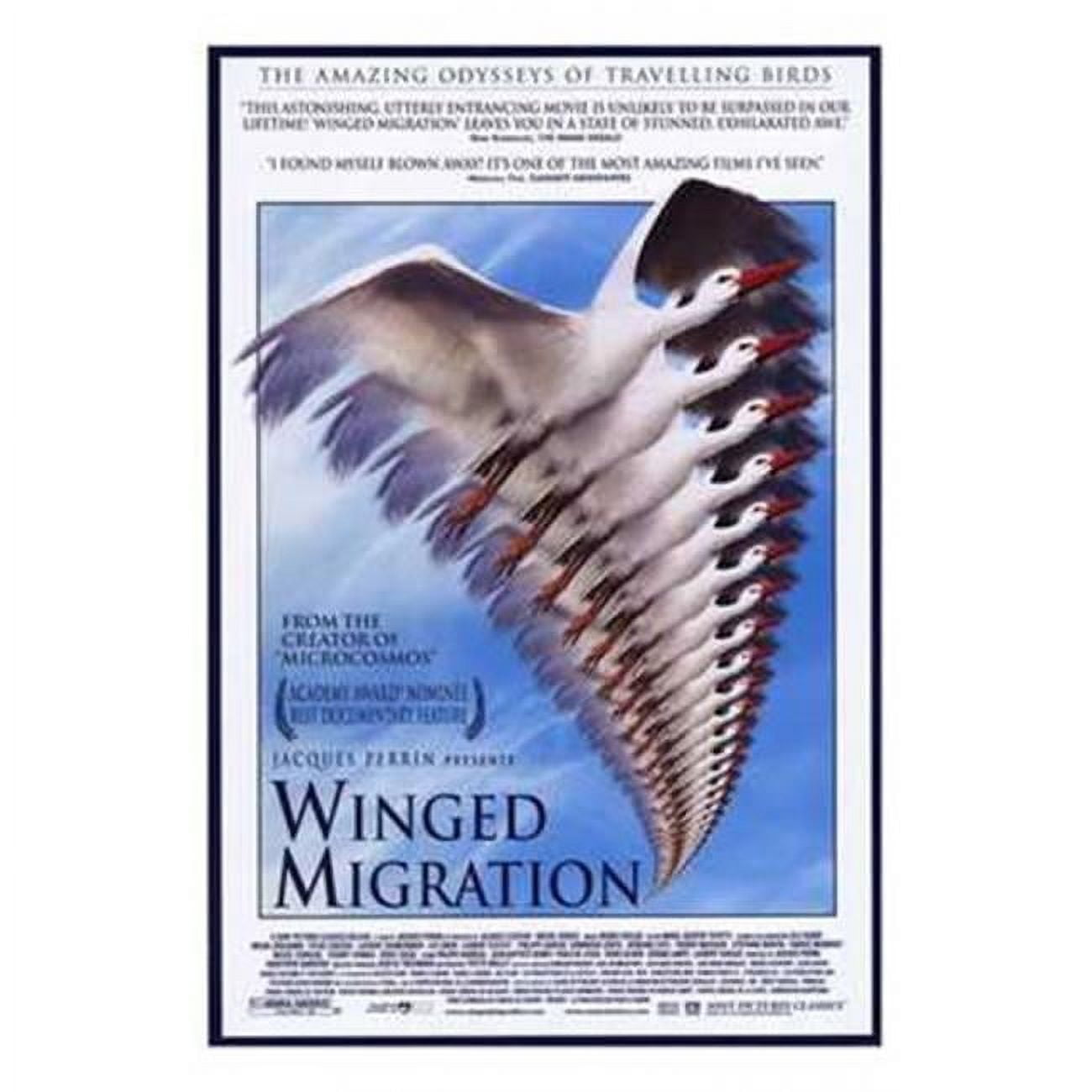 Winged Migration Movie Poster - 11 x 17 in. - Walmart.com