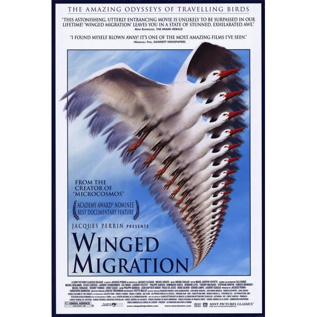 Winged Migration - movie POSTER (Style A) (11" x 17") (2002) - Walmart.com