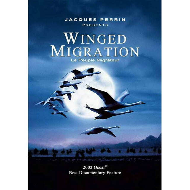 Winged Migration - movie POSTER (Style C) (27" x 40") (2002) - Walmart.com