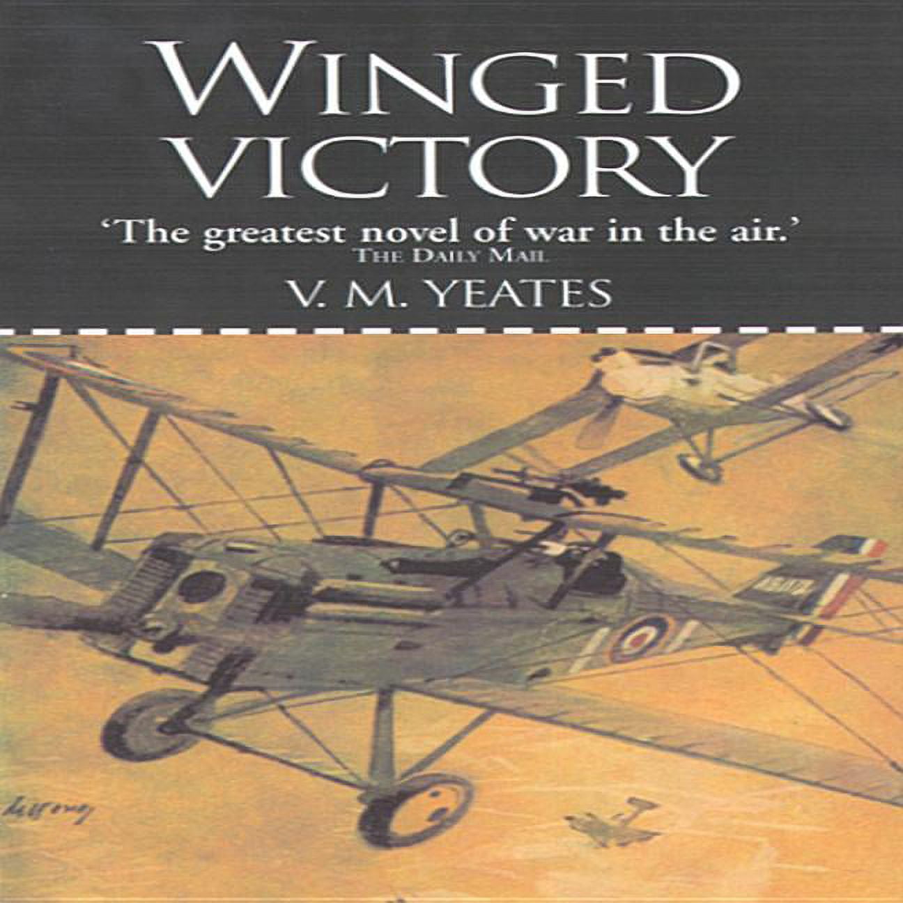 Winged Victory (Paperback) - Walmart.com