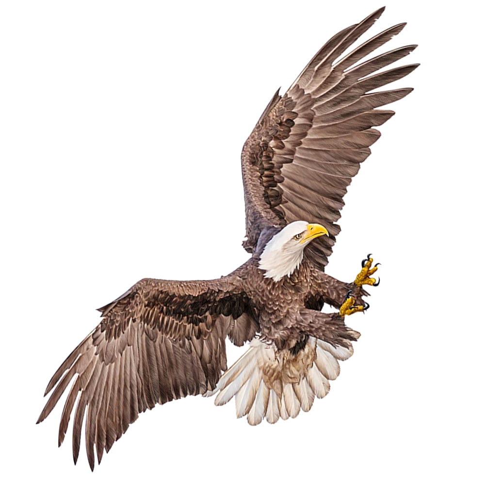 Wings Eagle Sticker Home Decor Wall Decal Decor for Bedroom Wallpick ...