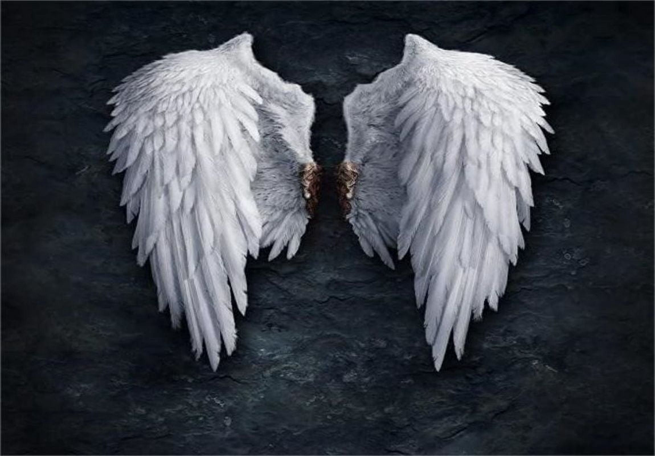 Wings Prince Background Custom Birthday Backdrop Flying Sky Sunshine ...