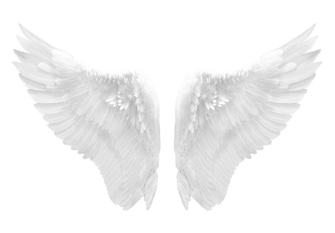 Wings Prince Background Custom Birthday Backdrop Flying Sky Sunshine ...