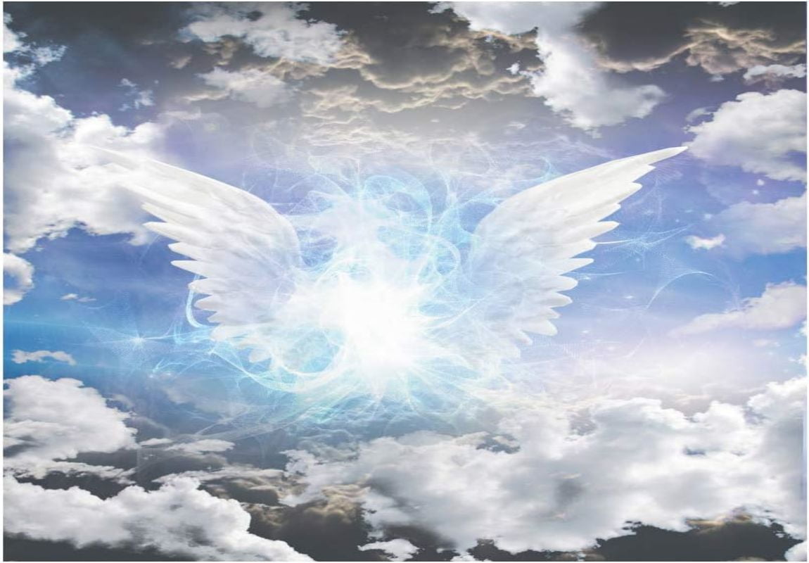 Wings Prince Background Custom Birthday Backdrop Flying Sky Sunshine ...