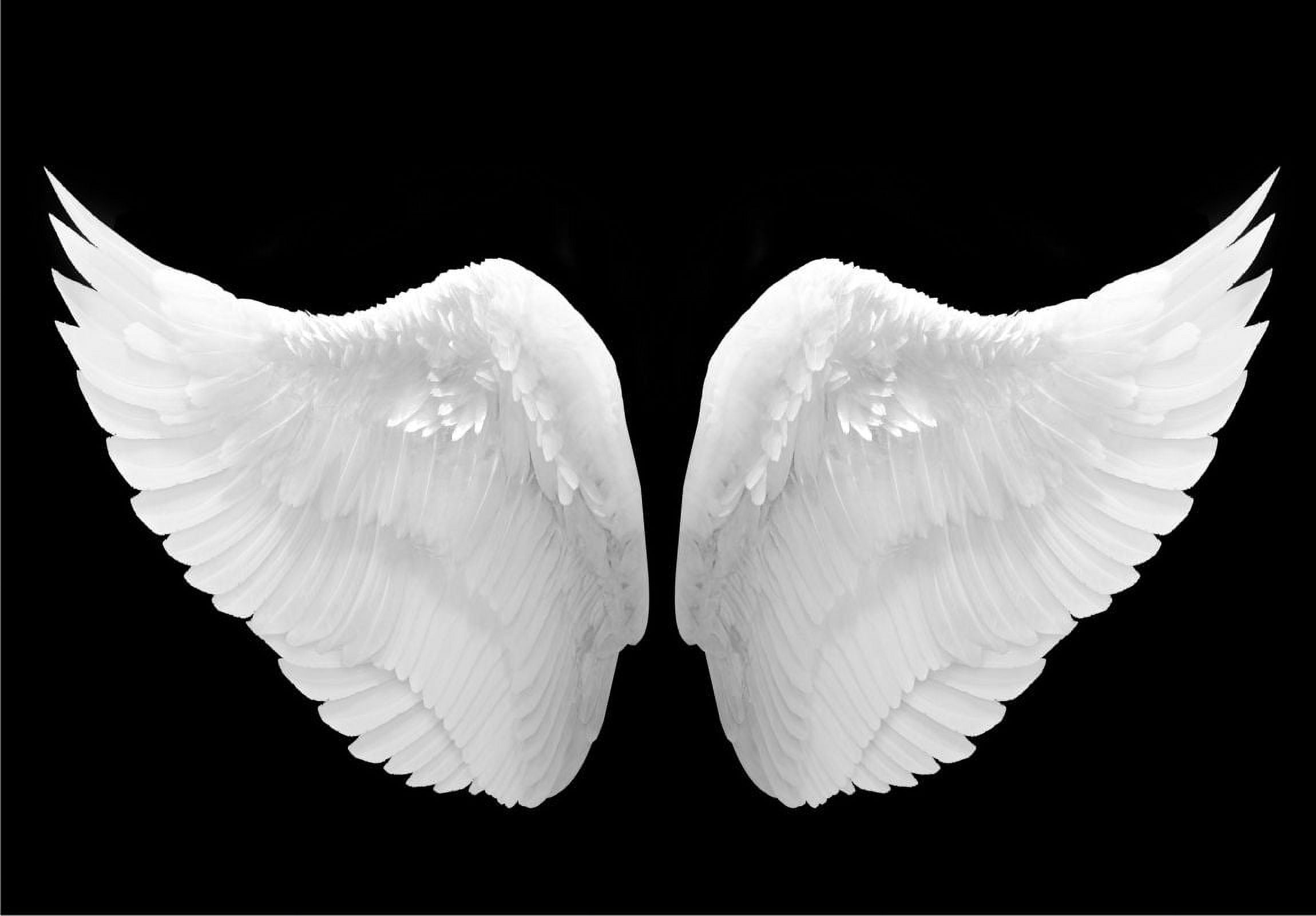 Wings Prince Background Custom Birthday Backdrop Flying Sky Sunshine ...