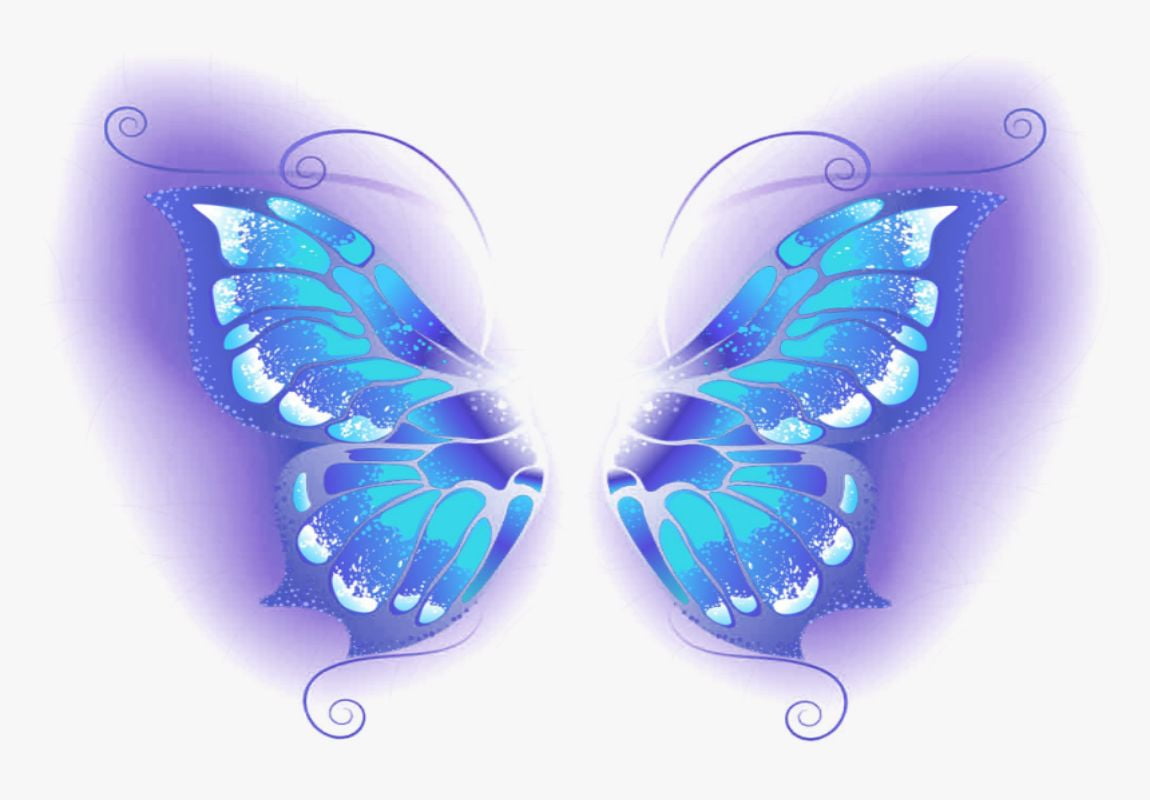 Wings Prince Background Custom Birthday Backdrop Flying Sky Sunshine ...