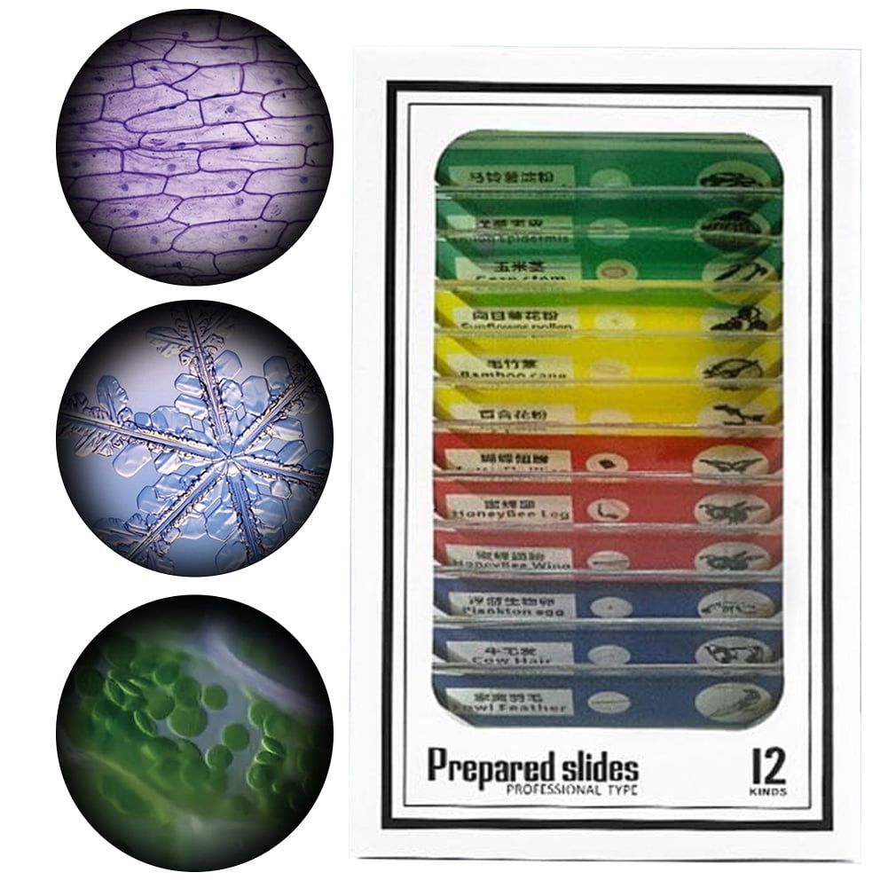 Winnereco 60-120x Miniscope Kids, Handheld Pocket Microscope with LED ...