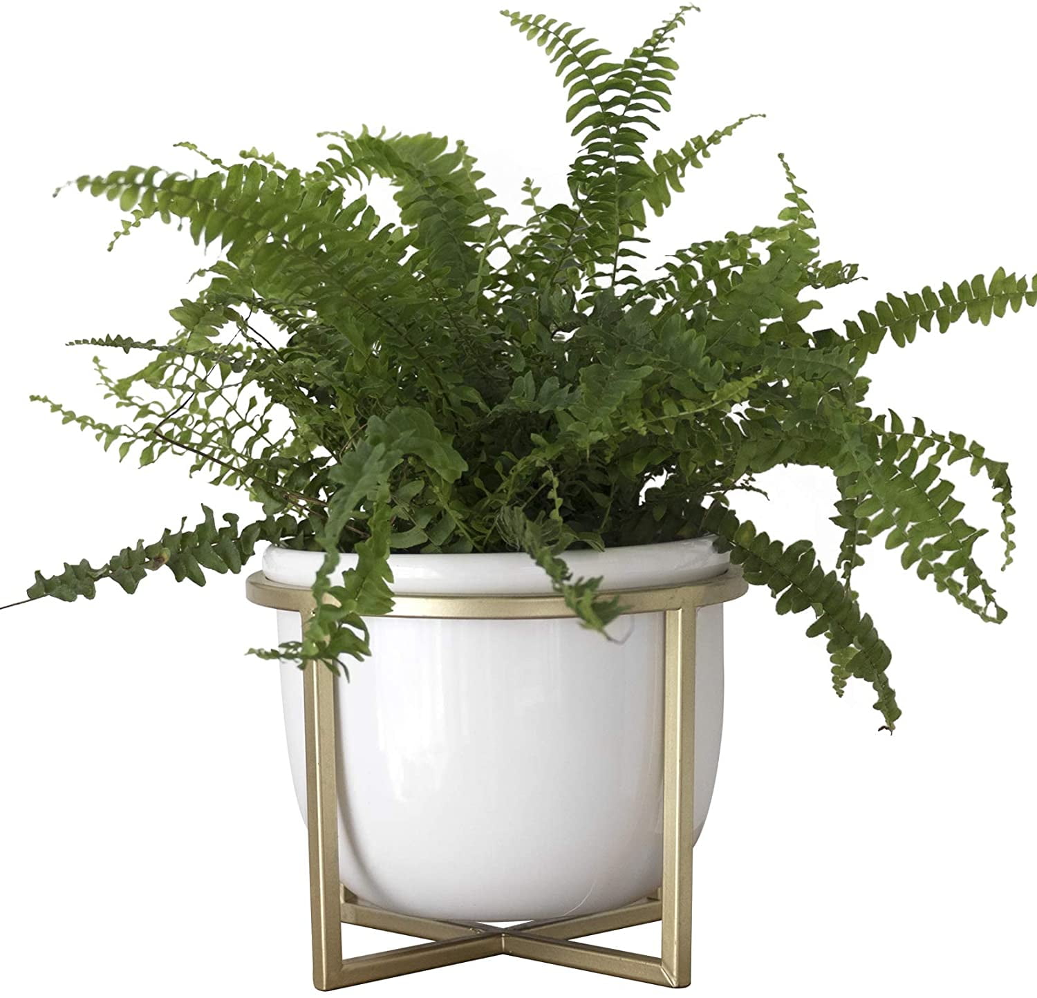 Winnerw Ceramic Flower Plant Pot with Stand - 6.7 Inch White Indoor ...