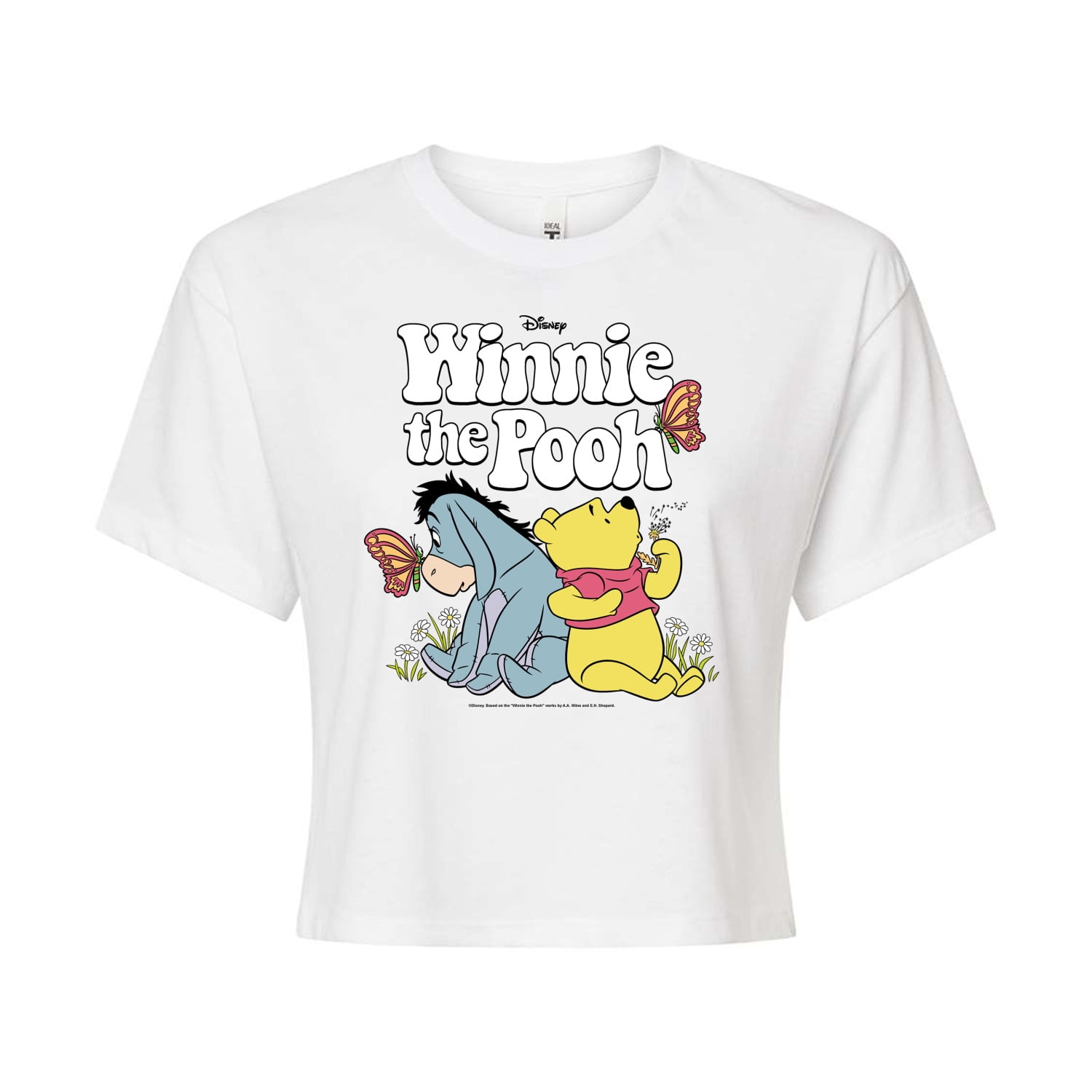 Winnie the Pooh - Pooh the Bear and Eeyore Enjoying Eachother's Company ...