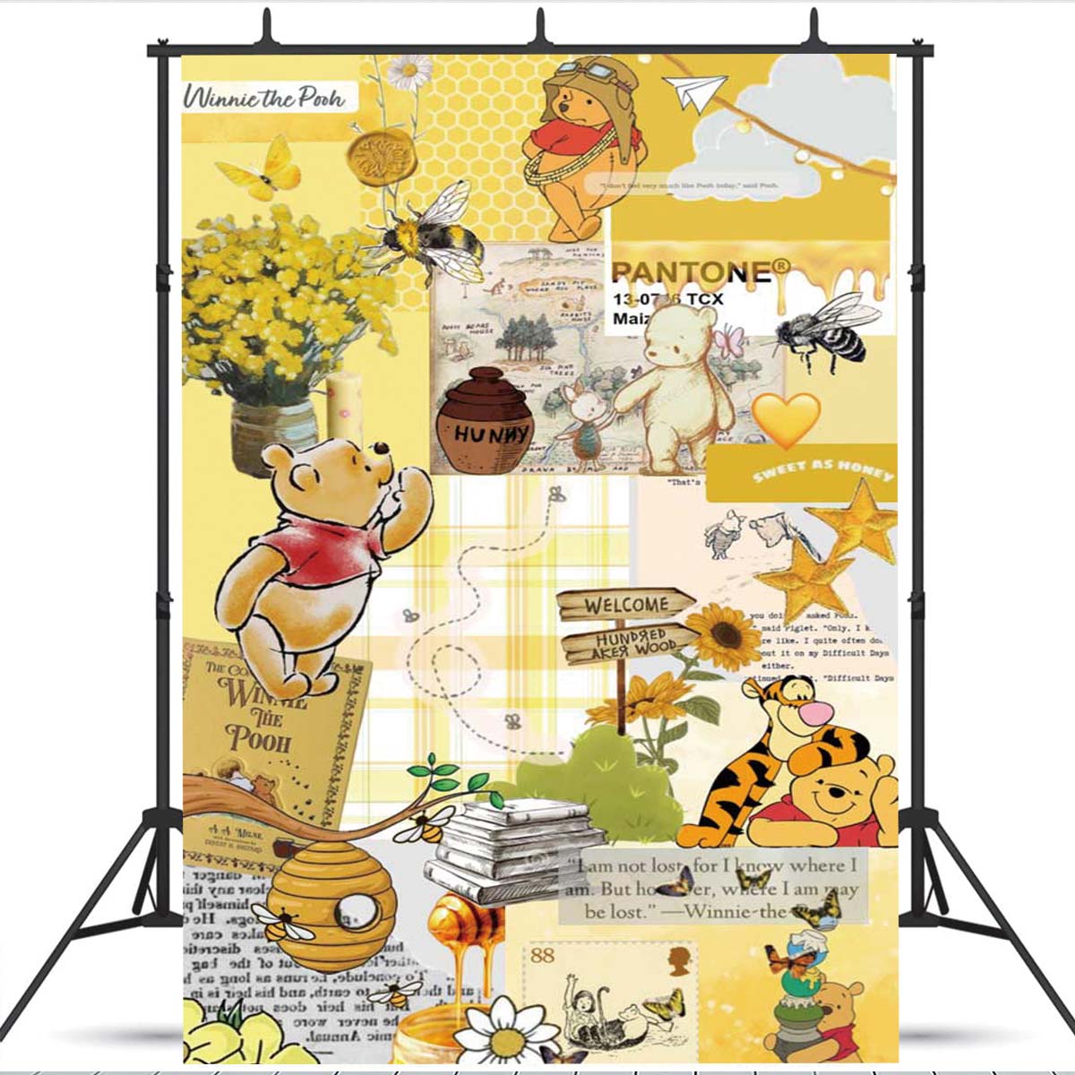 Winnie the Pooh school Taspestry Wall Decor Birthday Banner Backdrop ...
