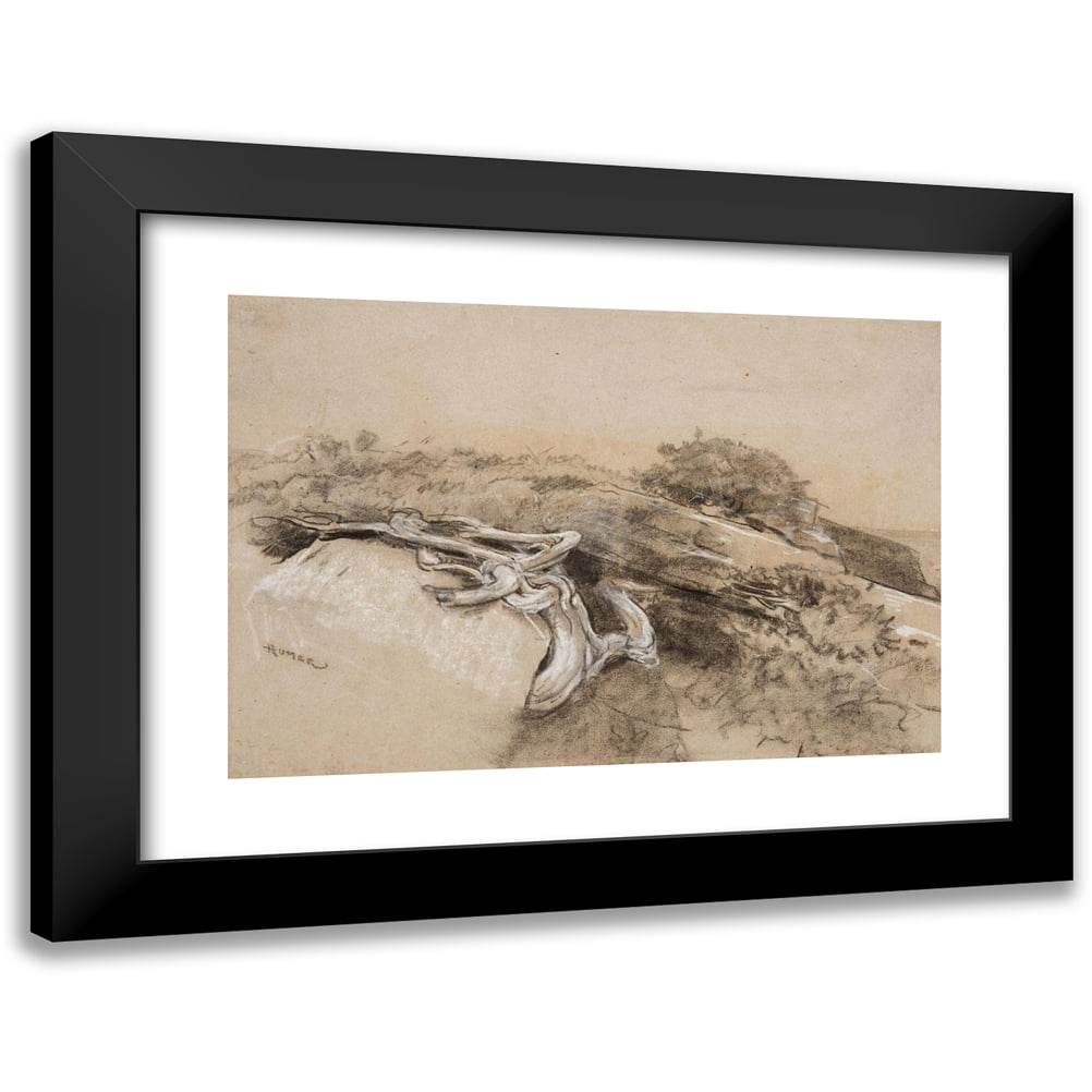 Winslow Homer 24x18 Black Modern Framed Museum Art Print Titled - Tree ...