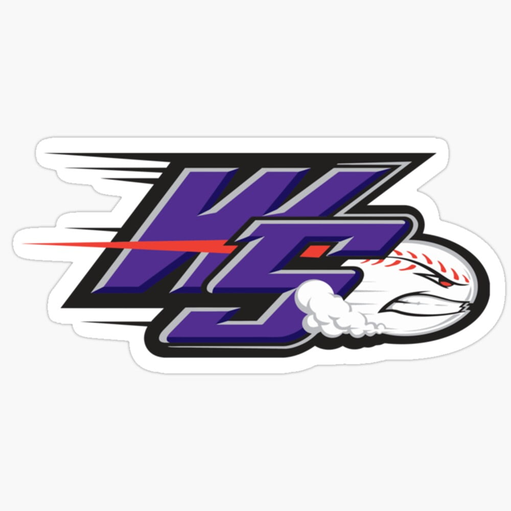 Winston Salem Dash Icons Sticker Phone Decal Water Bottle Stickers Car ...