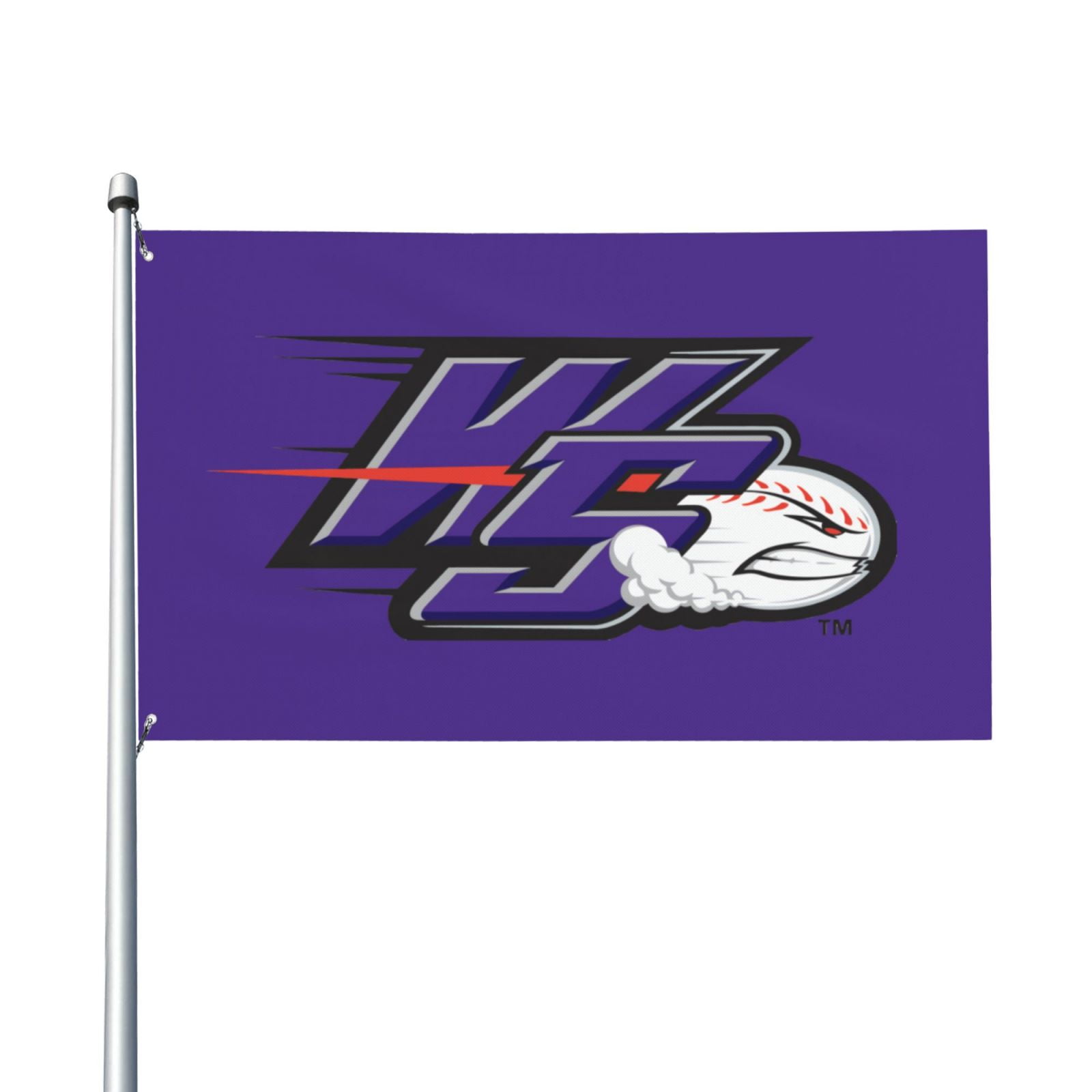 Winston-Salem Dashs Logo 3 X 5 Foot Outdoor Decorative Flag,Garden Flag ...