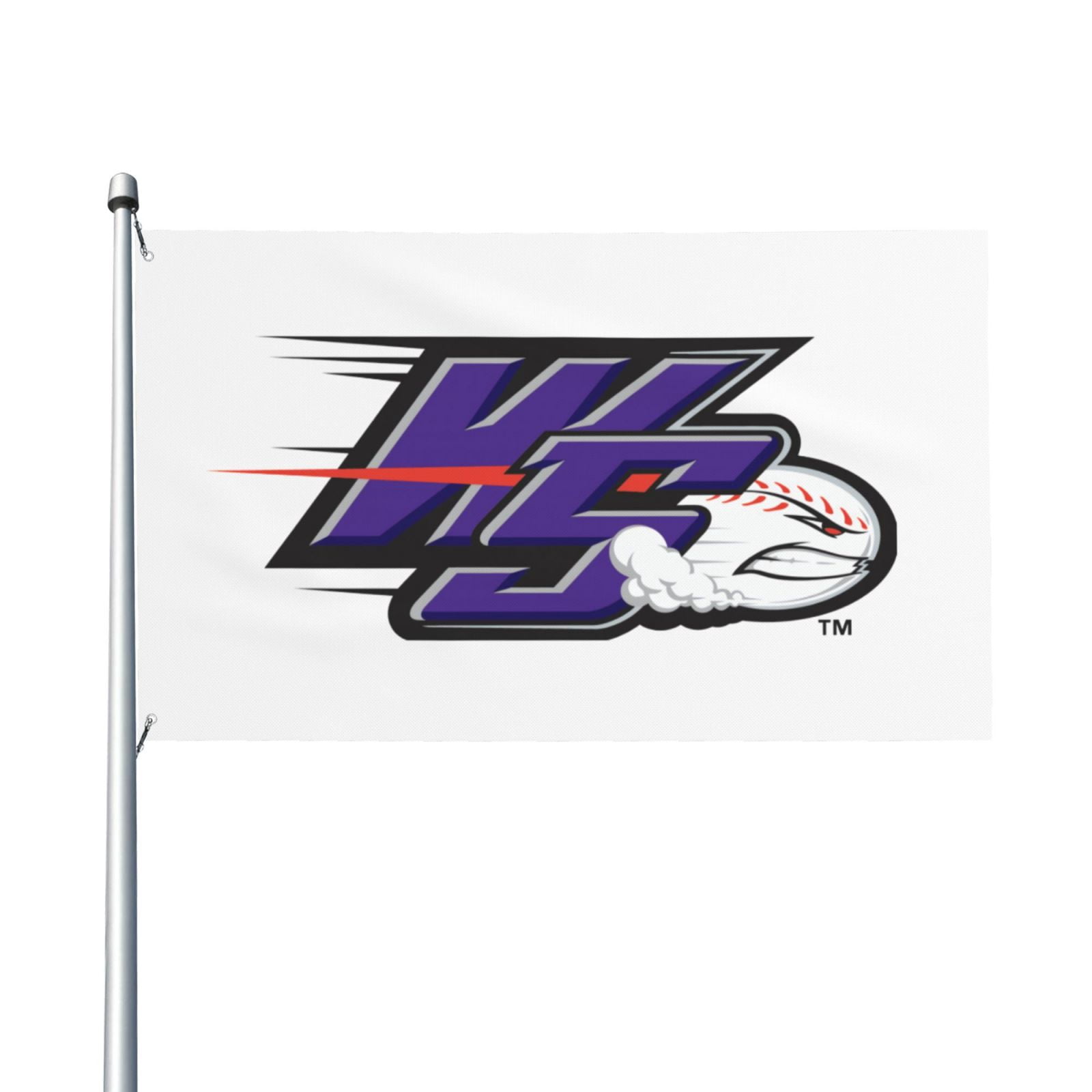 Winston-Salem Dashs Logo 3x5ft Outdoor Decorative Flag - Polyesters ...