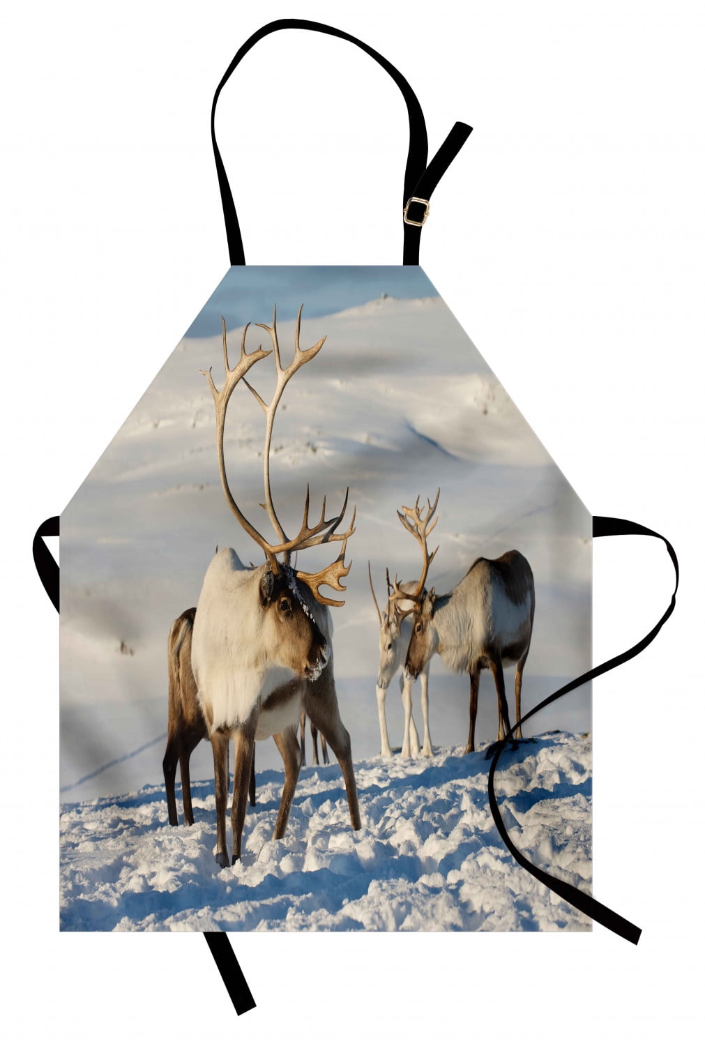 Caribou Antler