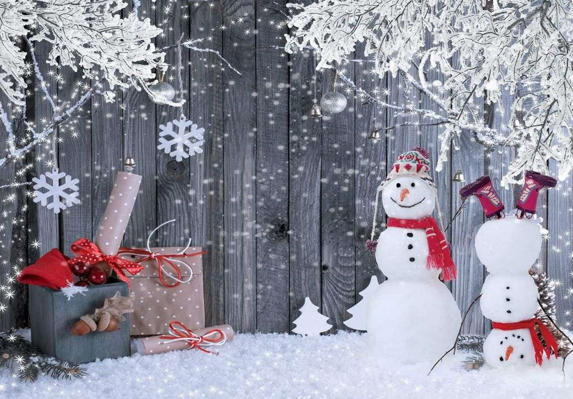 Winter Backdrop Wonderland Ice Castle Snowflake Photography Background ...
