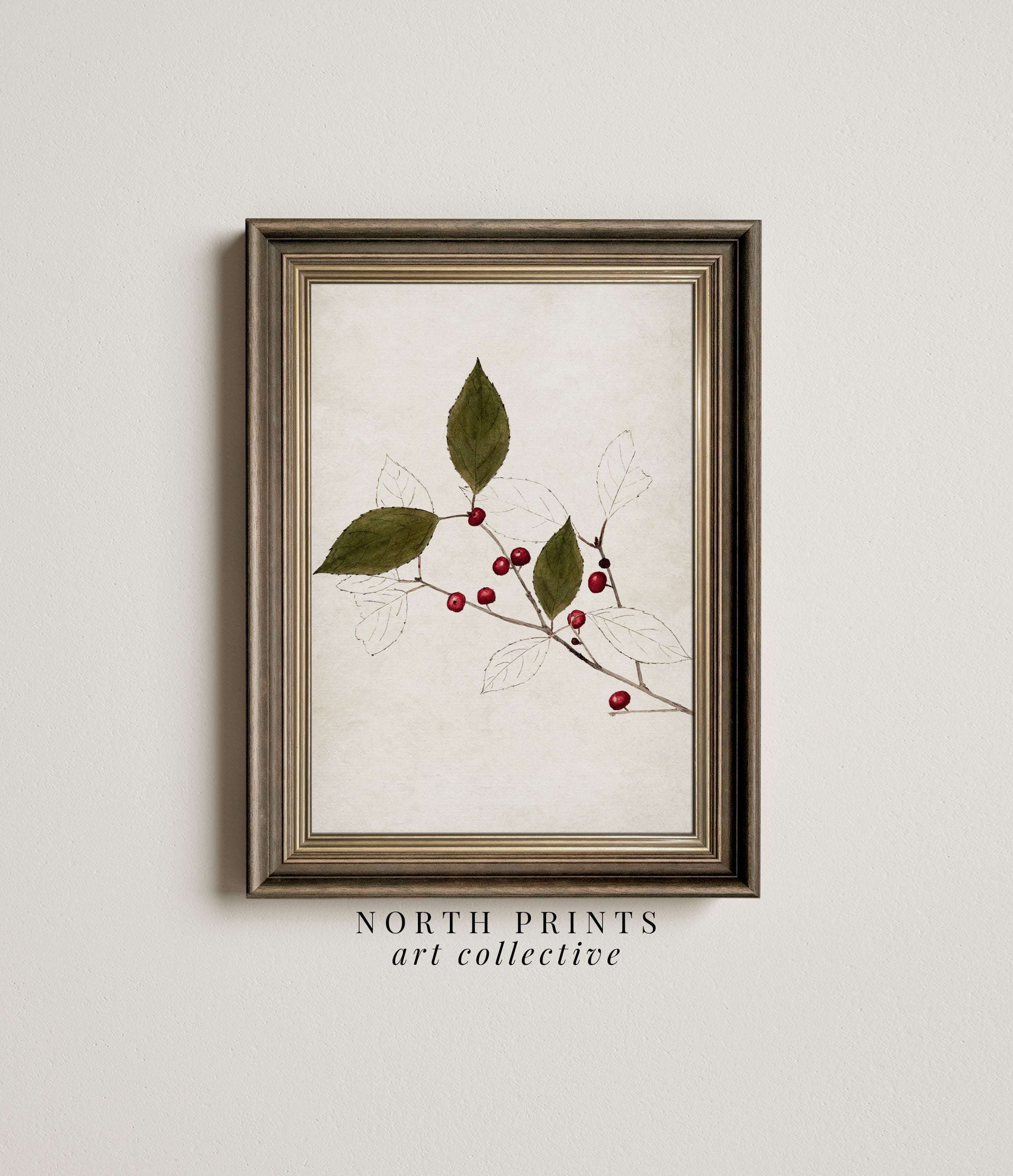 Winter Berry Branch Print: Botanical Wall Art Decor W-54 UNFRAMED ...