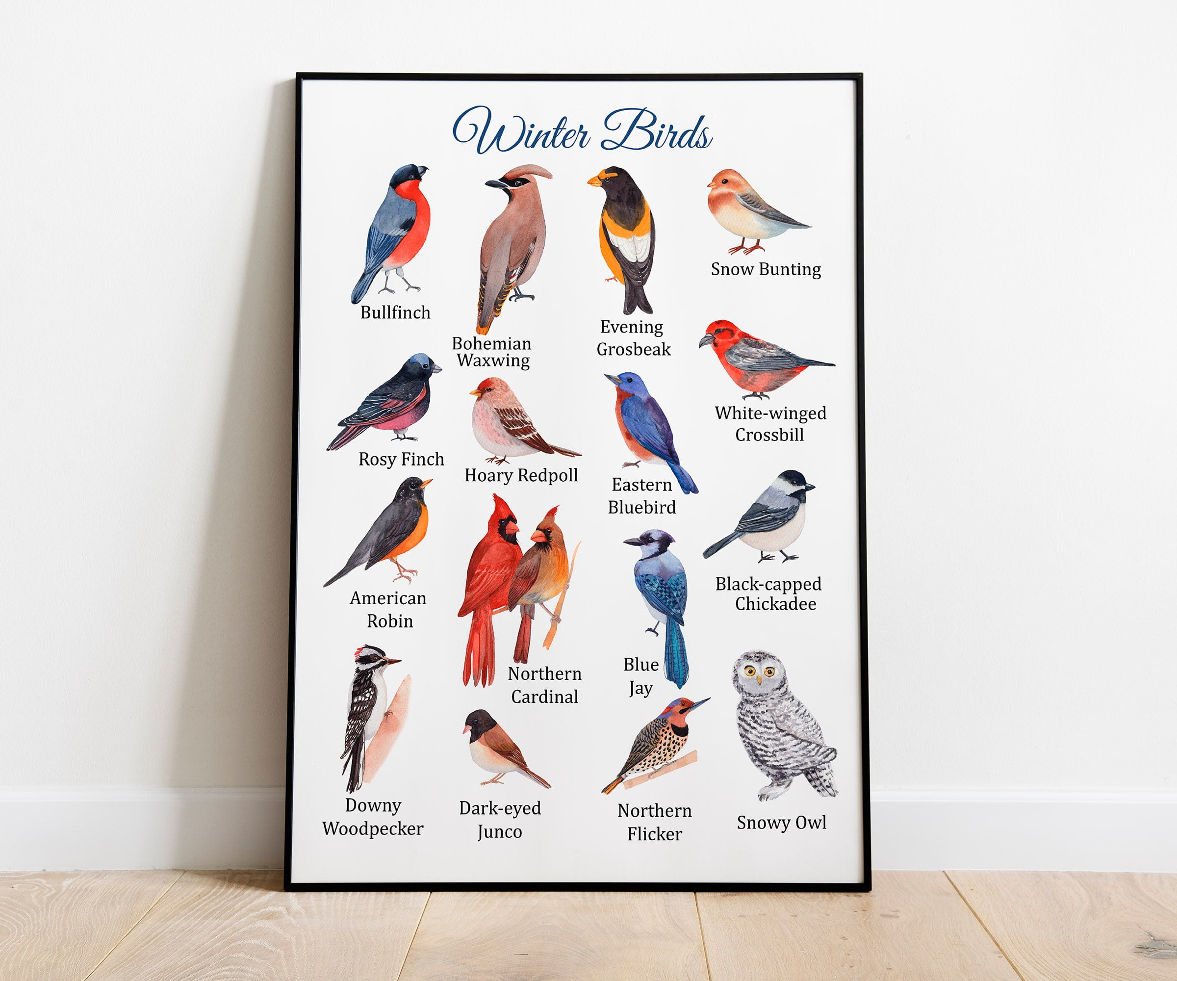 Winter Birds Identification Poster, Educational Poster, Christmas ...