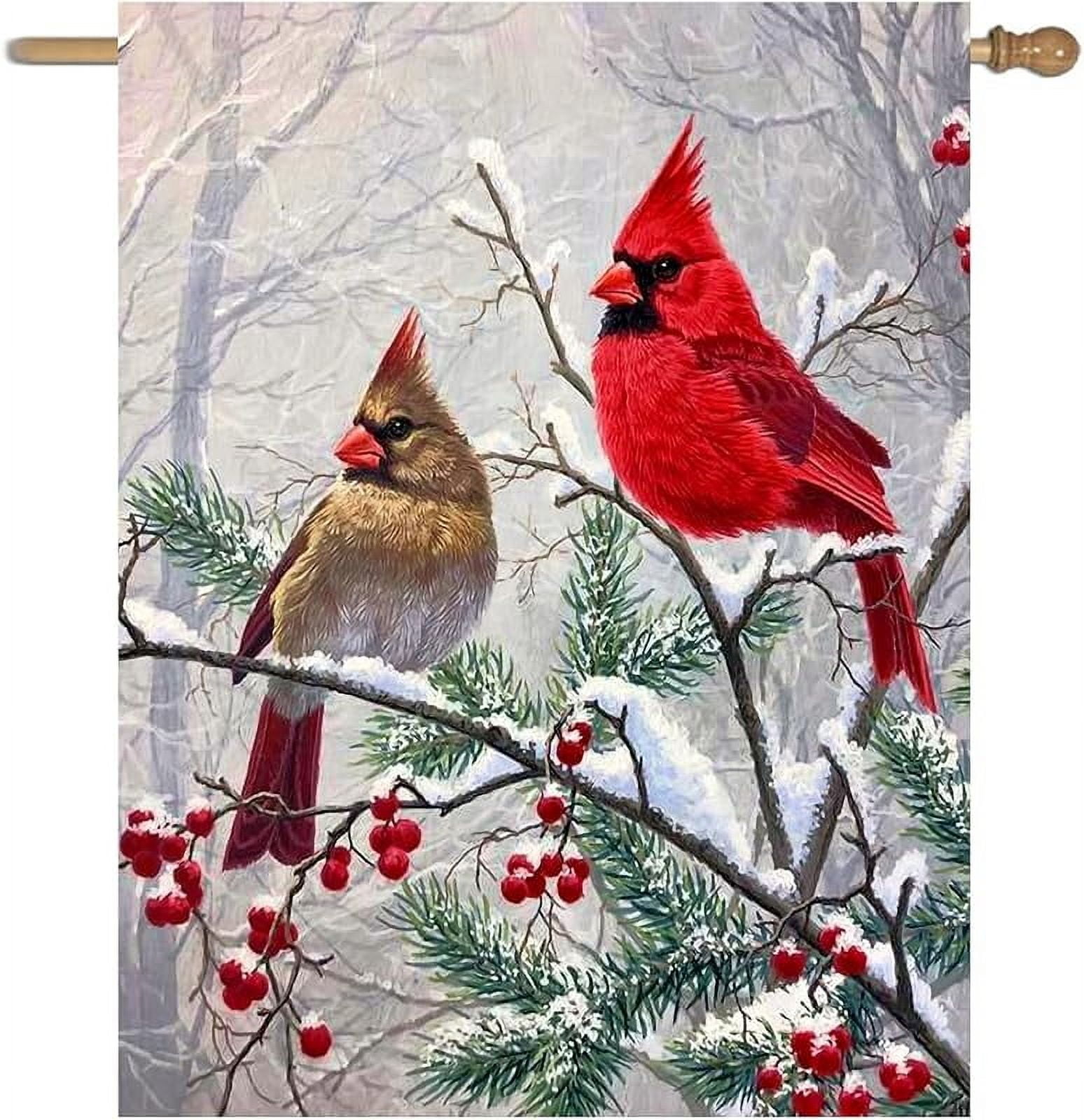 Winter Cardinal Bird House Flags for Outside 28x40 Double Sided Large ...