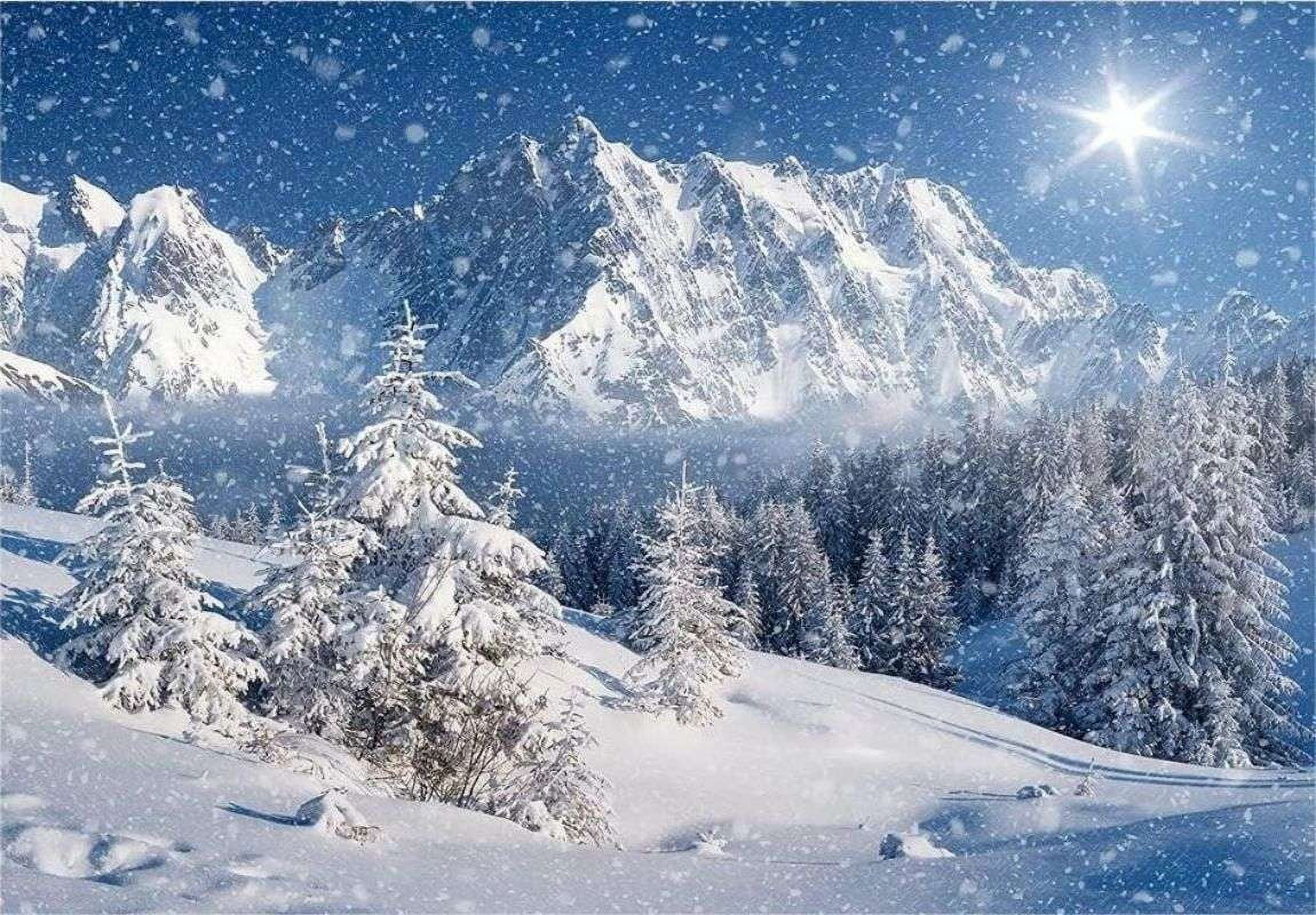 Winter Christmas Backdrop White Snow Pine Tree Wonderland Bokeh Photography Background Festival ...