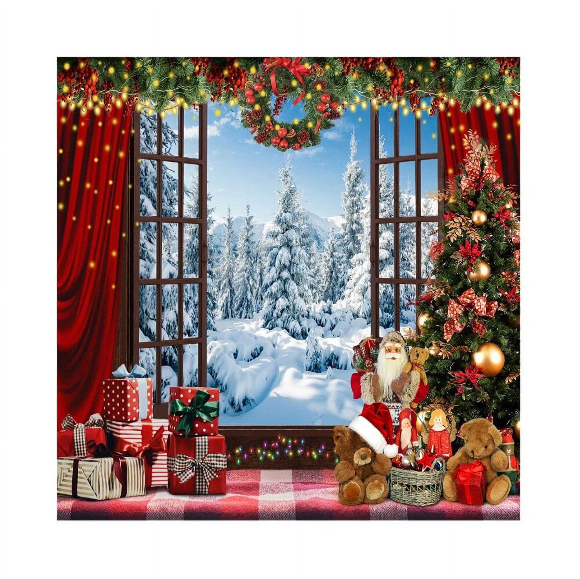 Winter Christmas Photography Backgrounds Showcase Window Snow Red s ...