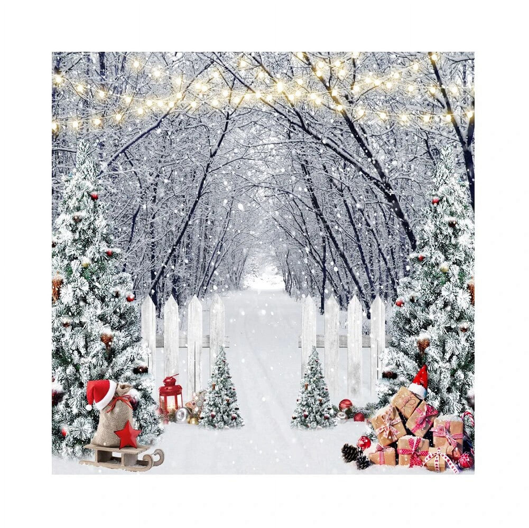 Winter Christmas Photography Backgrounds Showcase Window Snow Red s ...
