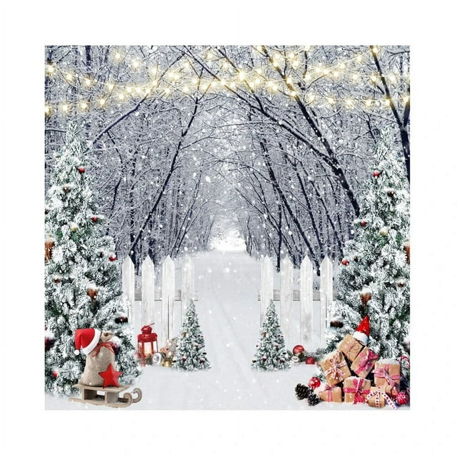 Winter Christmas Photography Backgrounds Showcase Window Snow Red s ...