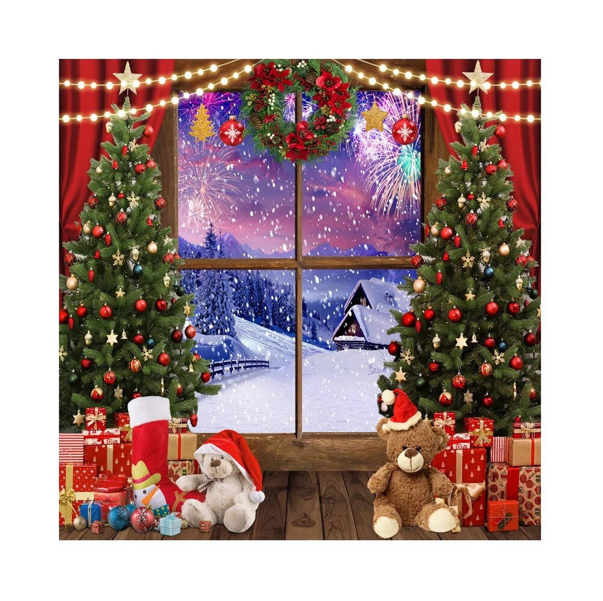 Winter Christmas Photography Backgrounds Showcase Window Snow Red s ...