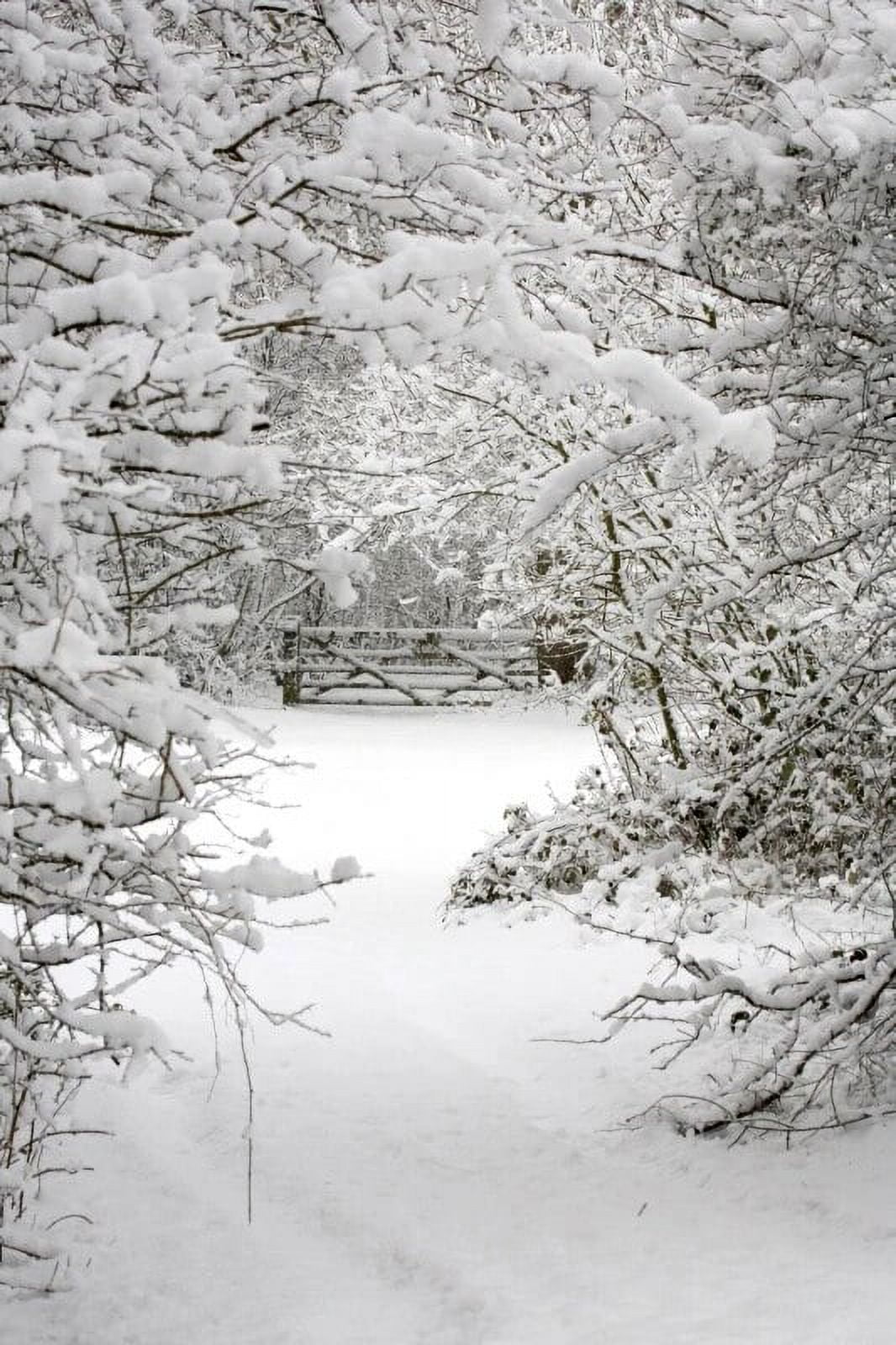 Winter Christmas Snow Photography Background Room Decoration Birthday ...
