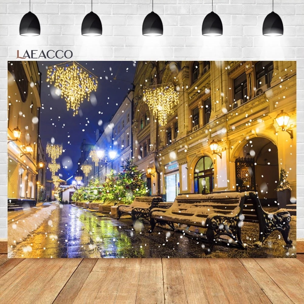Winter City Street Lights Scenery Christmas Birthday Portrait Photo ...
