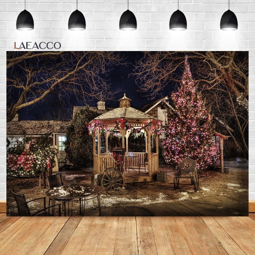 Winter City Street Lights Scenery Christmas Birthday Portrait Photo ...