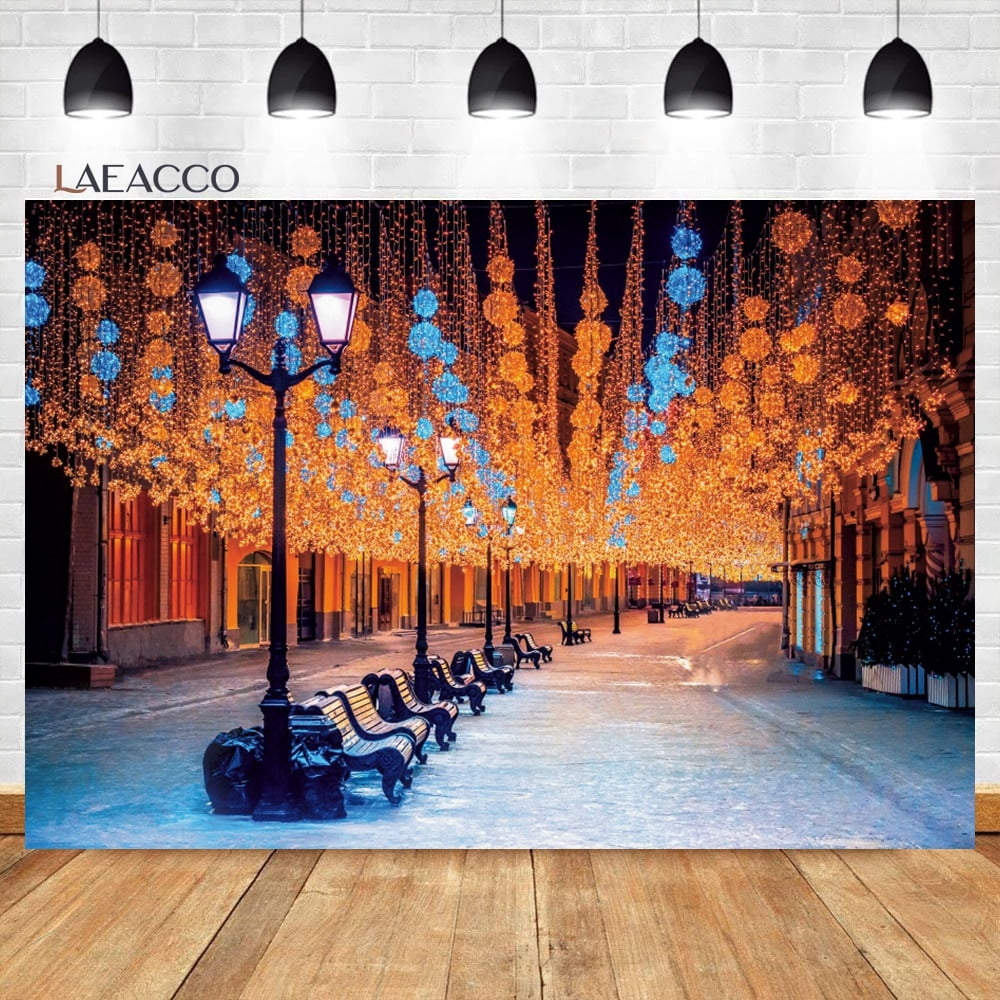 Winter City Street Lights Scenery Christmas Birthday Portrait Photo ...