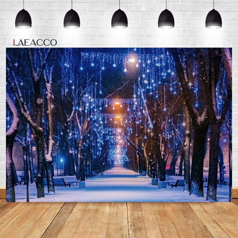 Winter City Street Lights Scenery Christmas Birthday Portrait Photo ...