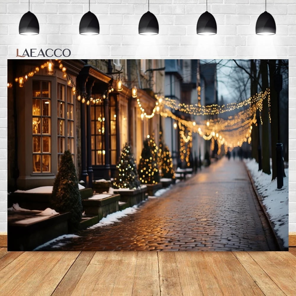 Winter City Street Lights Scenery Christmas Birthday Portrait Photo ...