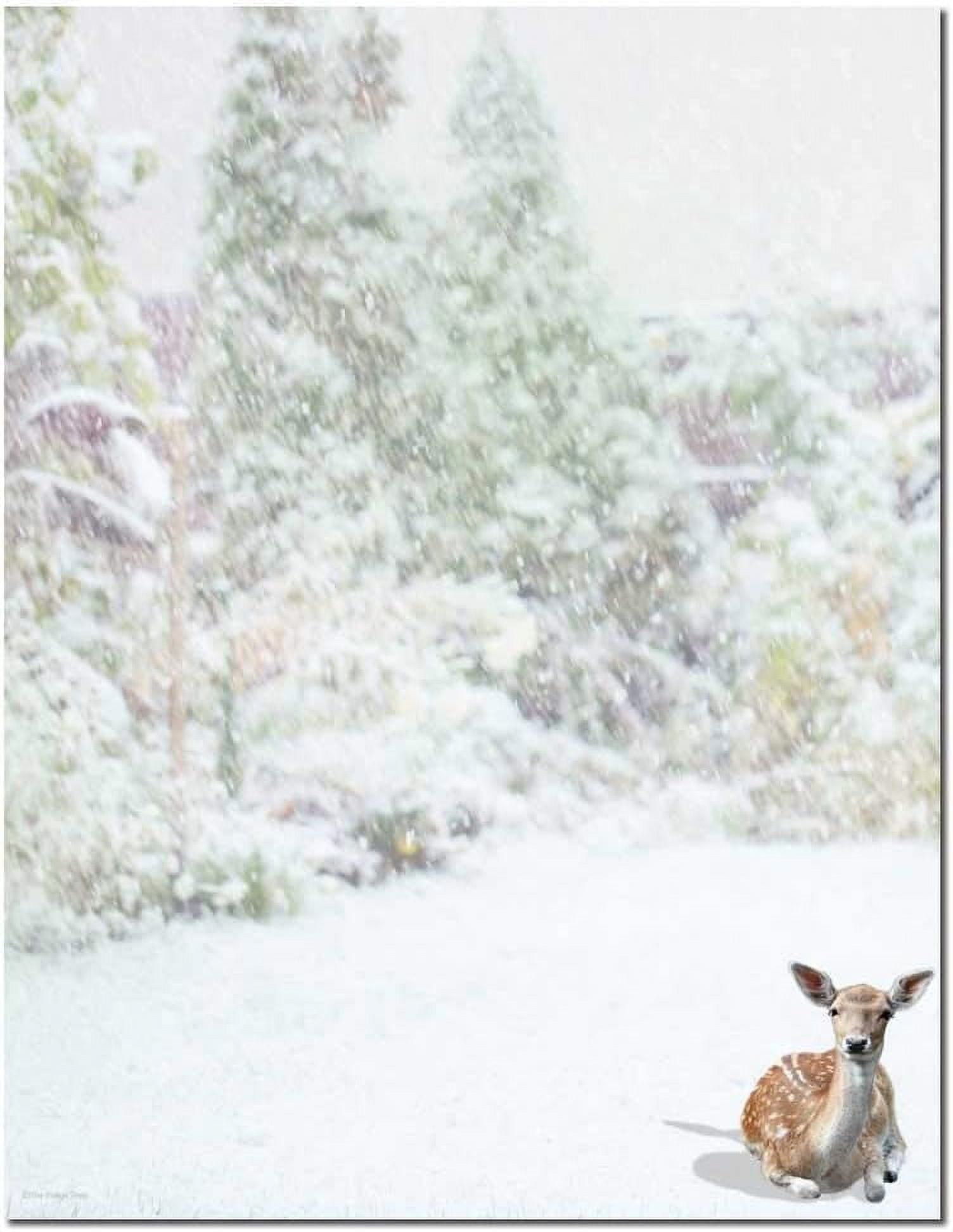 Winter Doe Letterhead Laser & Inkjet Printer Paper (100 Sheets ...