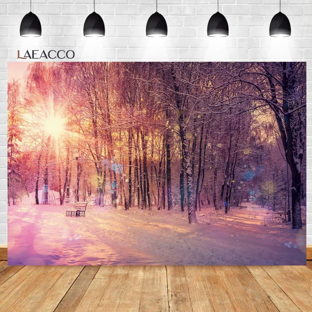 Winter Dusk Sunset Park Snow Real Scene Photocall Background Baby Child Poster Portrait ...