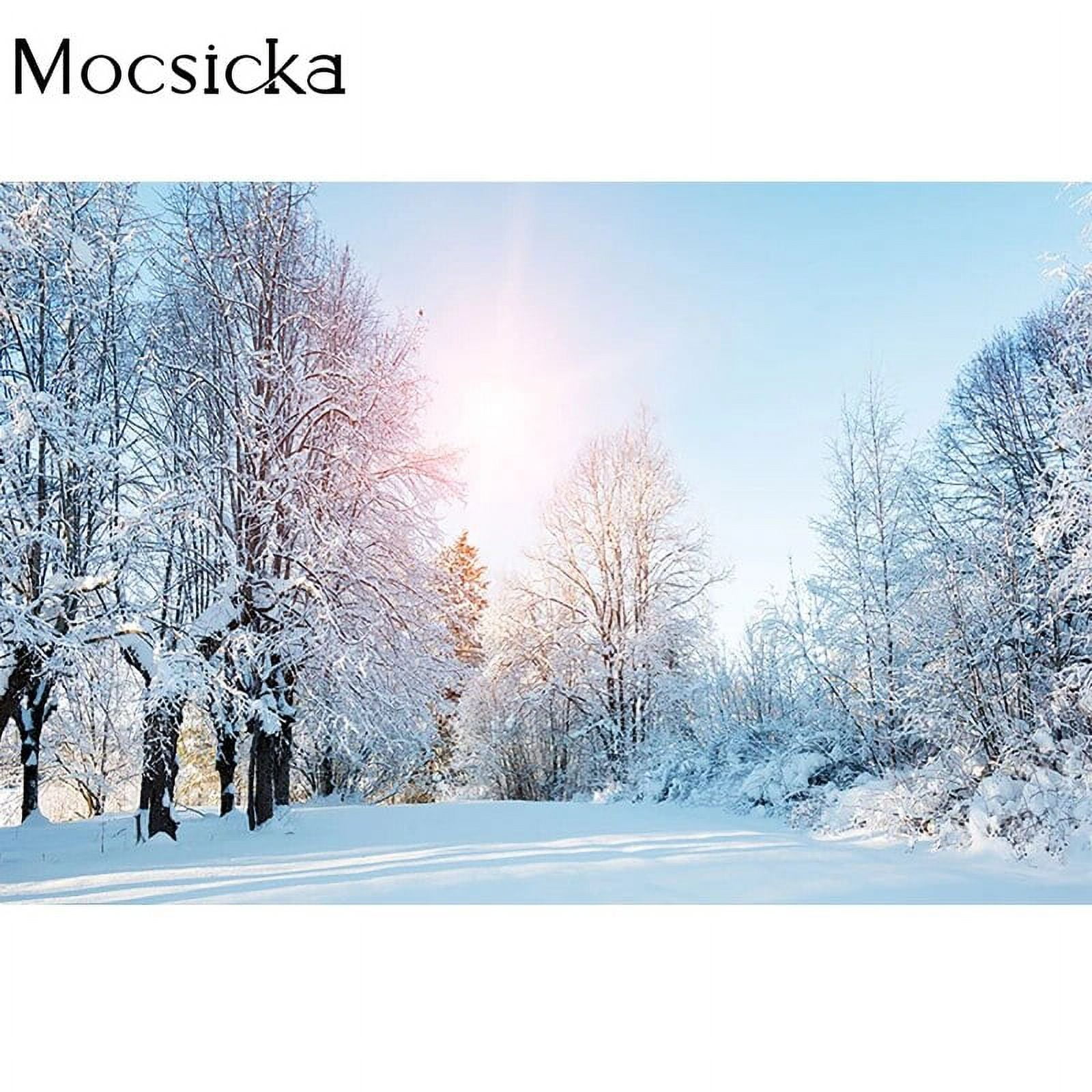 Winter Forest Photo Background Snow Scene Photo Christmas Tree Photography Backdrop Studio ...