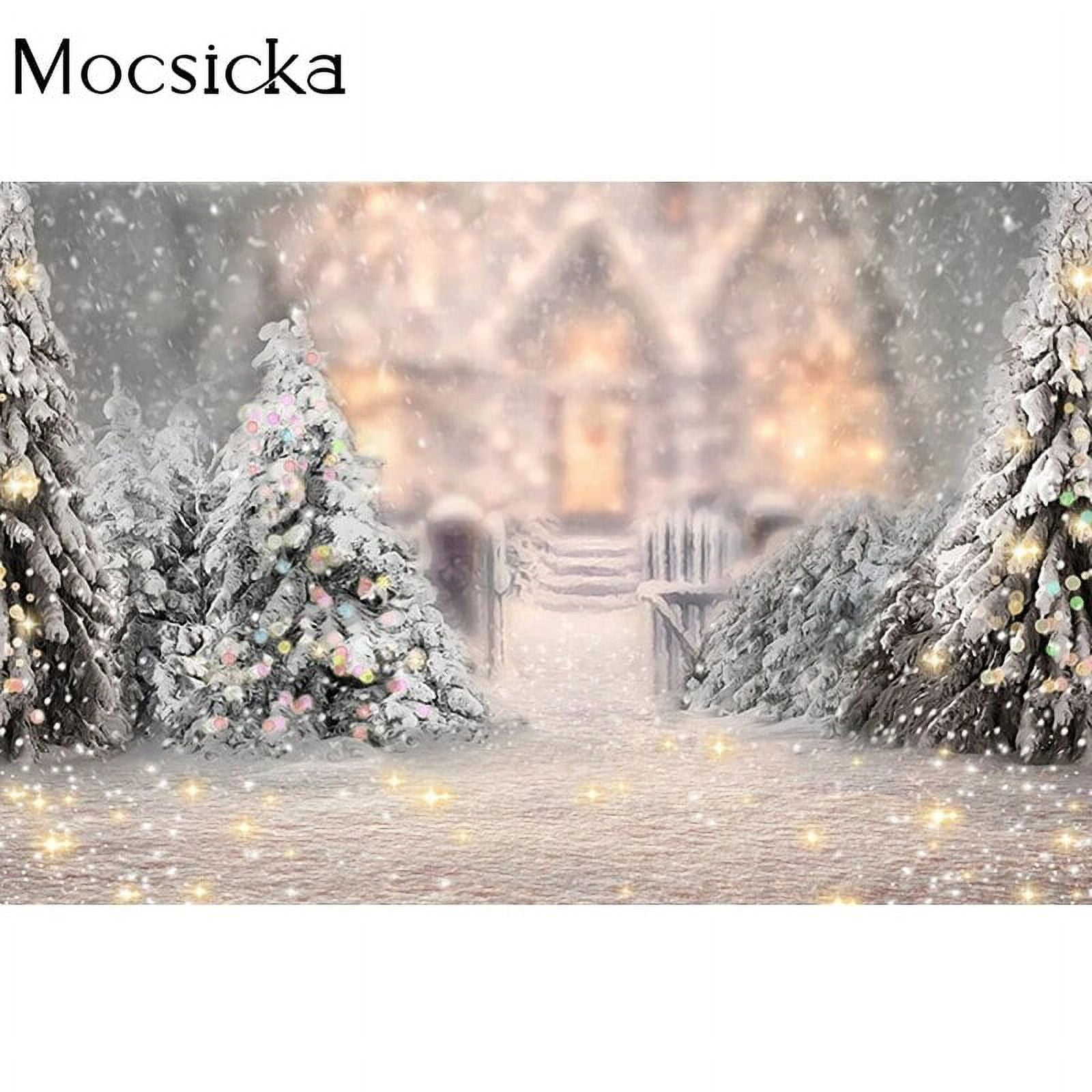 Winter Forest Photo Background Snow Scene Photo Christmas Tree ...