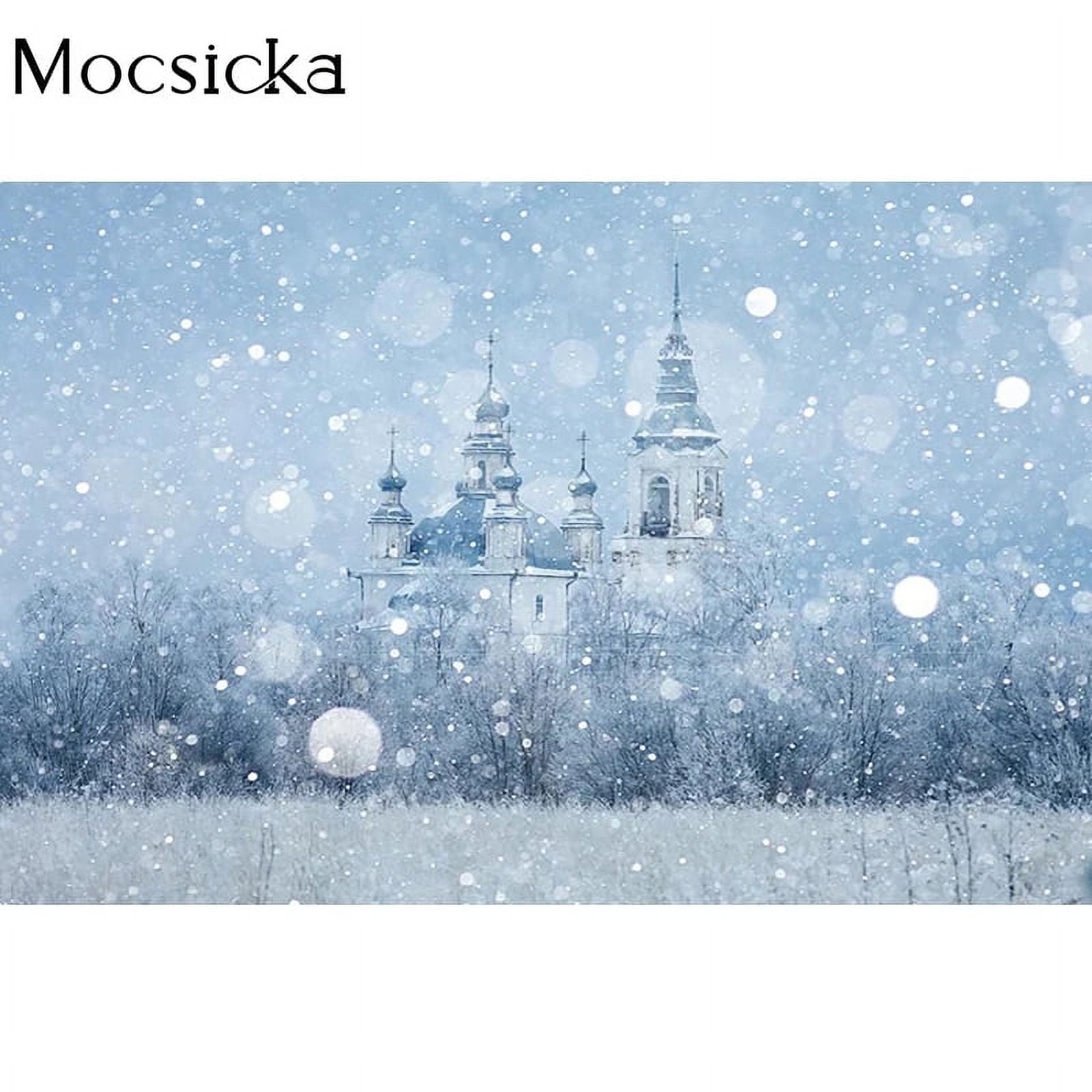 Winter Forest Photo Background Snow Scene Photo Christmas Tree ...