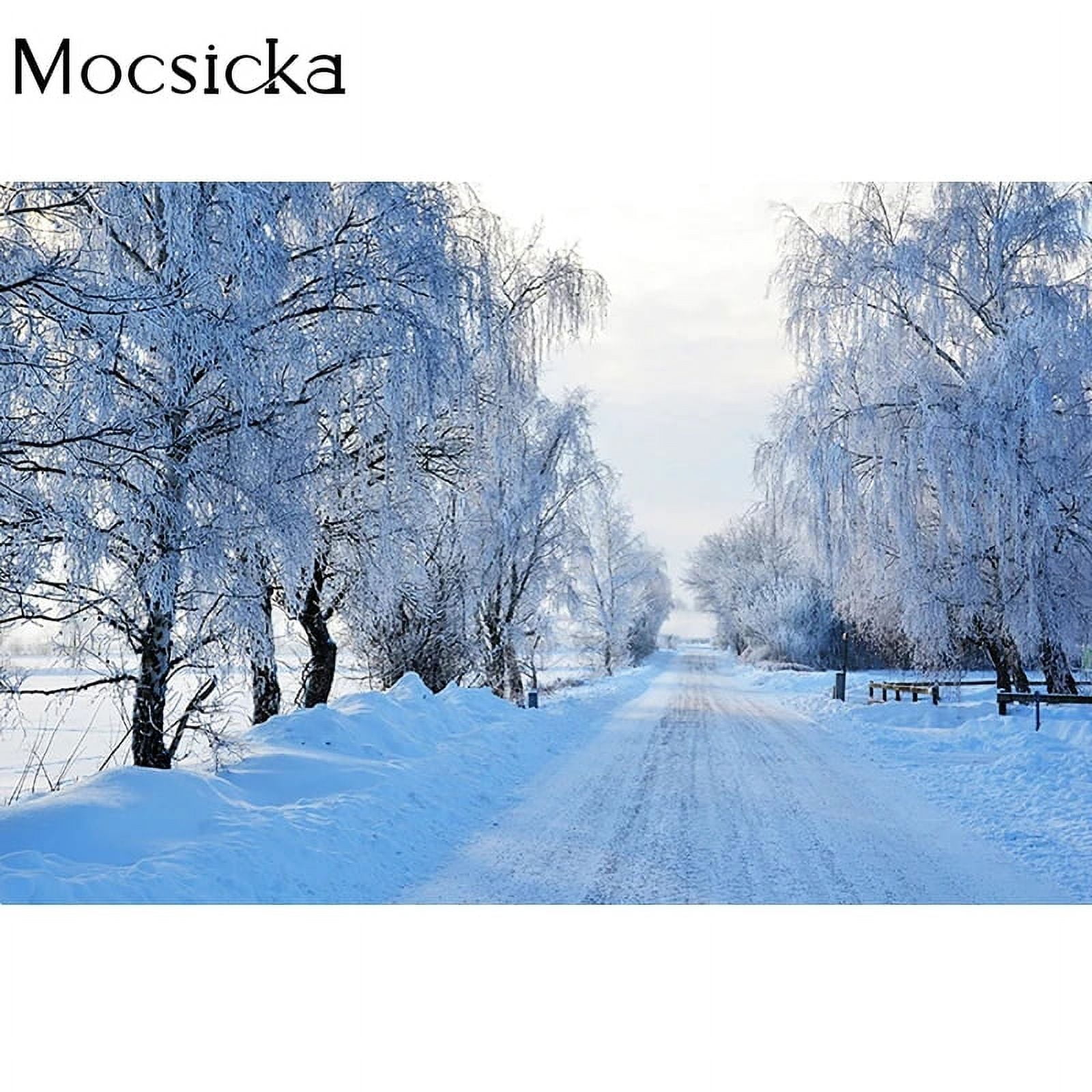 Winter Forest Photo Background Snow Scene Photo Christmas Tree Photography Backdrop Studio ...