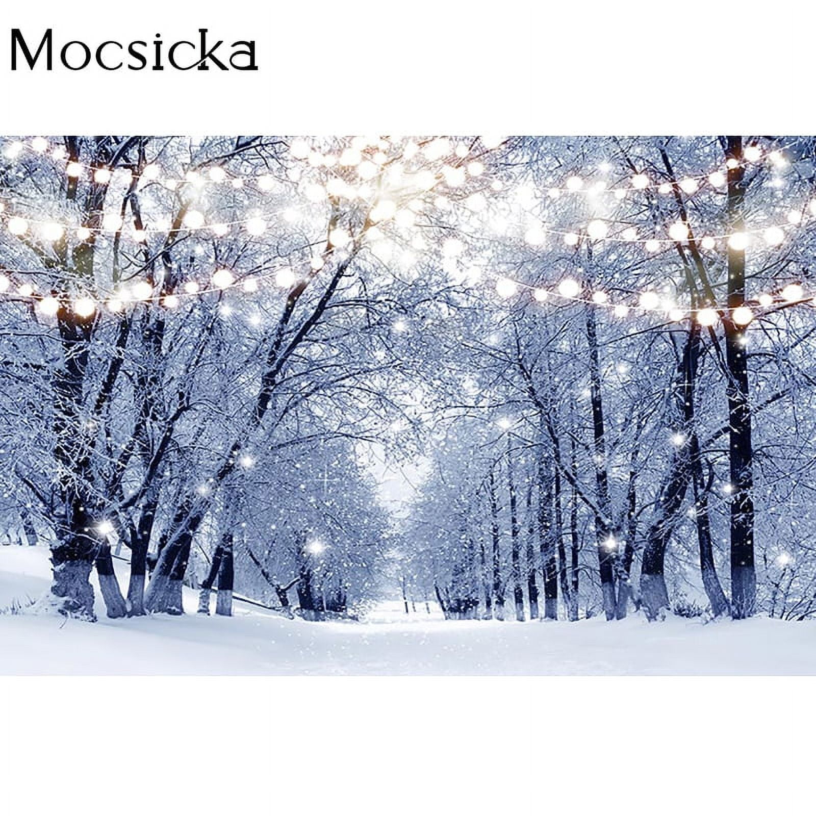 Winter Forest Photo Background Snow Scene Photo Christmas Tree ...